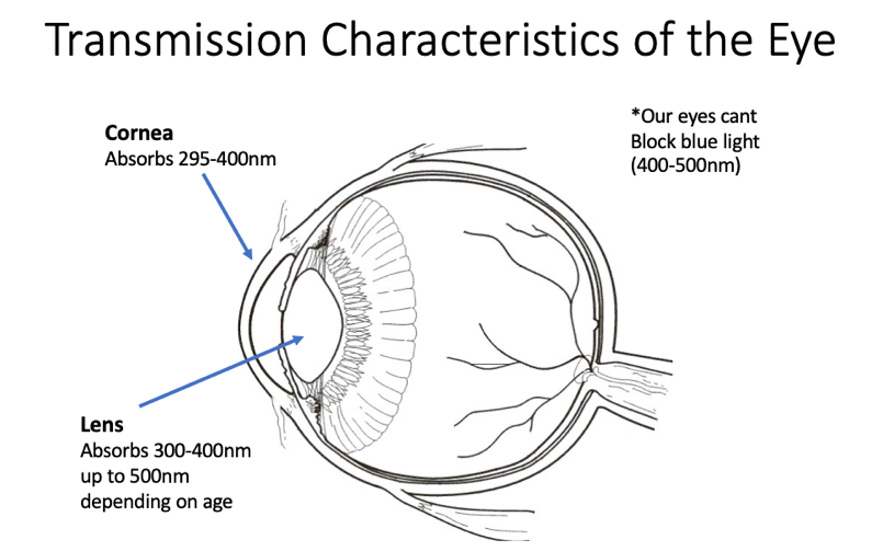 Blue Light Blockers and Traumatic Brain Injury: Don't Believe the Hype ...