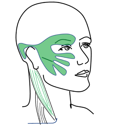 CERVICOGENIC EYE PAIN - Concussion Care Centre of Virginia